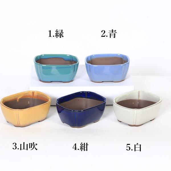 商品説明鉢：国産長方鉢　11.5ｃｍ（2142）*資材日本製鉢　色物鉢※こちらは数量物となっております。※ご希望の色をお選び下さい。＊数量物の為、若干の色の違い(色むら)があります。鉢径：11.5cm　奥行：9.0ｃｍ　高さ：5.2cm