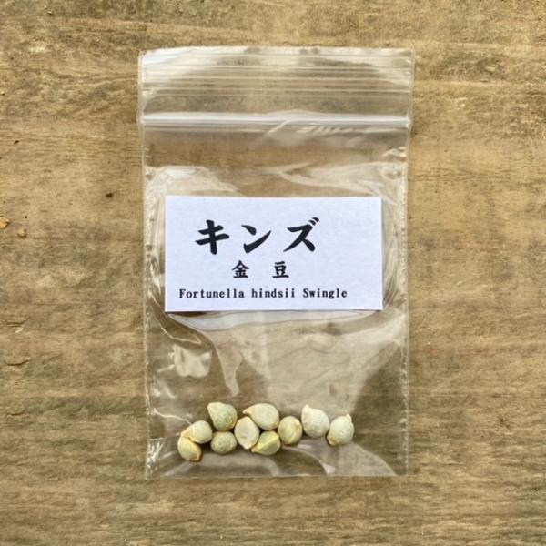 種子：金豆　キンズ今年度に大阪府で採取できたものを当店で詰めたもので、袋は透明のビニール袋です。*蒔き方などの注意事項を記載した説明書をおつけします。内容量　約10粒納期　ネコポスDM便での発送の場合、配達ご希望日時がご指定できません。発送...