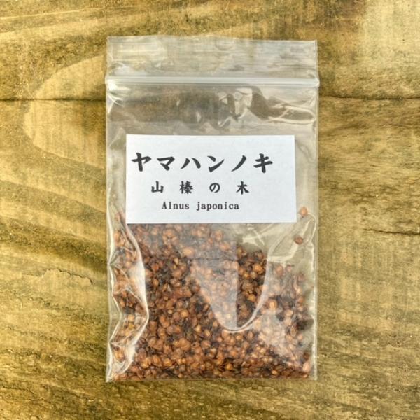 種子：ヤマハンノキ　榛の木カバツキ科　ハンノキ属今年度に長野県で採取できたものを当店で詰めたもので、袋は透明のビニール袋です。*蒔き方などの注意事項を記載した説明書をおつけします。サイズ約10ｍl 納期　ネコポス便での発送の場合、配達ご希望...