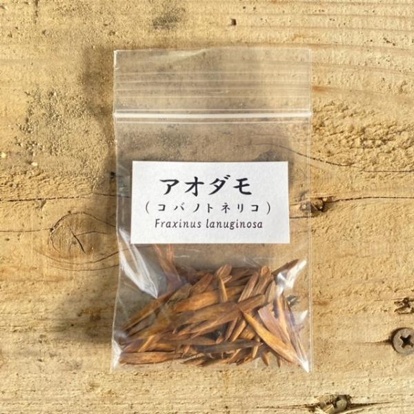 遊恵盆栽： 種子　アオダモ(コバノトネリコ)*あおだも袋は透明のビニール袋です。*蒔き方などの注意事項を記載した説明書をおつけします。サイズ約8ｍl 　約70粒納期　ネコポス便での発送の場合、配達ご希望日時がご指定できません。発送日より2-...