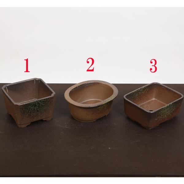 1.鉢径：10.3cm 高さ：7cm2.鉢径：13.5cm×11.5cm 高さ：5.6cm3.鉢径：12.5cm×9.8cm 高さ：5.5cm4.鉢径：12.8cm 高さ：5.6cm5.鉢径：13.2cm×11.3cm 高さ：5.6cm6....