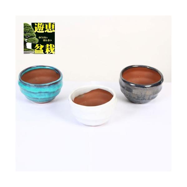 [商品情報]丸鉢変形お好きな色をお選び下さい。＊数量物の為、若干の色の違い(色むら)があります。[サイズ]高さ：約6ｃｍ　　鉢径：約9ｃｍ[納期]配達ご希望日時のご指定ができます。お急ぎの場合は午前中までにご注文の場合、即日発送も可能です。...