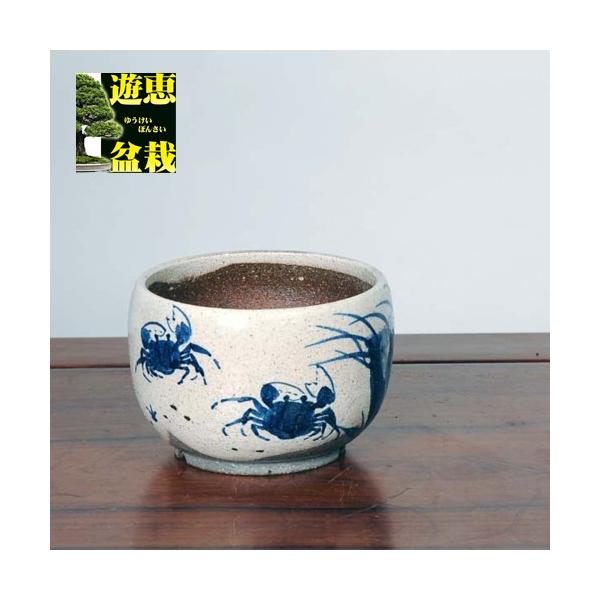 [商品情報]国産信楽焼信楽焼（しがらきやき）は、滋賀県甲賀市信楽を中心に作られる陶器で、日本六古窯のひとつに数えられています。＊手造り、手書きの為、多少大きさ、絵柄の違いがあります。[サイズ]高さ：約8ｃｍ　　鉢径：約11.5ｃｍ[納期]配...