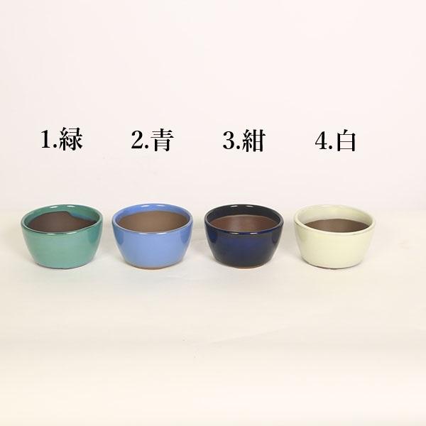 商品説明国産鉢：丸鉢　9.7ｃｍ*資材鉢径：約9.7cm　高さ：約5.3cm日本製鉢　色物鉢※こちらは数量物となっております。※ご希望の色をお選び下さい。＊数量物の為、若干の色の違い(色むら)があります。