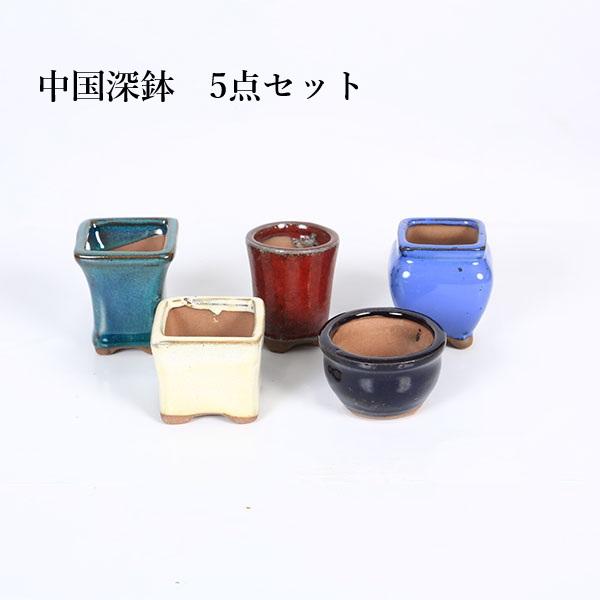 商品説明鉢：中国深鉢　5点セット 2.5号*資材*色のご指定はできません。ご了承ください。ミニ盆栽に最適です。 中国製鉢　色物鉢*色は画像と異なります。*中国製の為、一部釉薬ムラやトビ・ピンホール・歪み・くぼみ・コメ欠け・底穴付近の焼きヒビ...