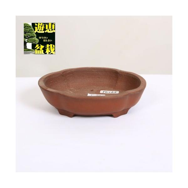 [商品情報]常滑作家のひとりで、タタラと押型による手づくり鉢を作られています。泥物から釉薬まで幅広い作陶で、樹の育成にも優れた鉢です。[サイズ]鉢径：11cm　　高さ：2.9cm　　奥行：9.1cm[納期]配達ご希望日時のご指定ができます。...