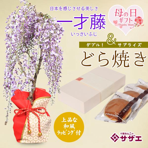 【発売日：2026年05月07日】一才藤とサザエ本店のどら焼き3個とのセットです！☆5月9日〜10日(母の日当日)期間内でお届け希望日をお選びください。◆他商品との同梱不可。◆送料無料！但し、北海道は別途送料が加算＜北海道800円 ＞◆ご注...