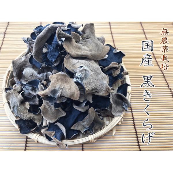 静岡県産の美味しい黒きくらげが入荷です♪農薬も不使用で栽培し放射能検査済！さらに石づきもないので水で戻してから炒め物や鍋、トッピングに色々使えます。食物繊維もビタミンDも豊富で低糖質、低カロリーの身体喜ぶキクラゲを何個でも送料無料でお届け