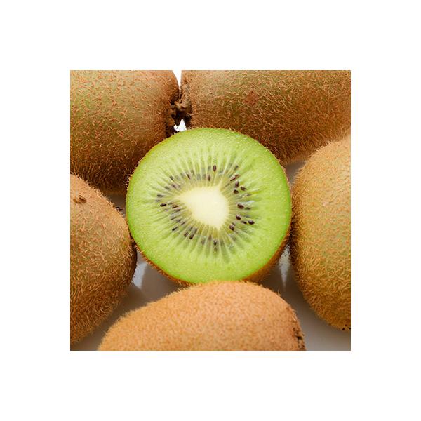 ■お礼品詳細　・賞味期限：2週間■お申し込み・配送・その他　・発送時期：2026-01-20〜2026-02-20（お届け時間帯指定可）　・申込受付期間：〜2026-01-10　・配達外のエリア：　・寄付証明書の送付時期目安：申込完了日から...