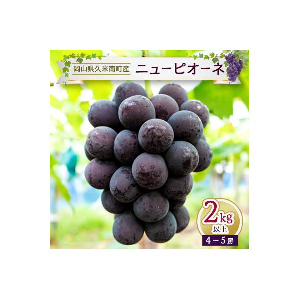 ■お礼品詳細　・内容量：2kg以上(4〜5房)　・原産地：岡山県久米南町産　・賞味期限：5日　・配送種別：冷蔵便■お申し込み・配送・その他　・発送時期：2026-08-27〜2026-09-30（お届け時間帯指定可）　・申込受付期間：〜20...