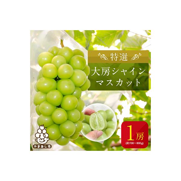 ■お礼品詳細■お申し込み・配送・その他　・発送時期：2026-08-13〜2026-09-30（お届け時間帯指定可）　・申込受付期間：〜2026-08-31　・配達外のエリア：離島、沖縄県　・寄付証明書の送付時期目安：申込完了日から２週間程...