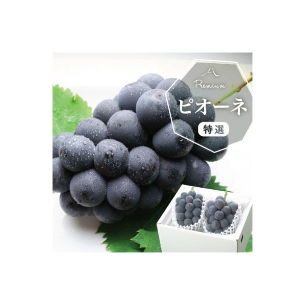 ■お礼品詳細■お申し込み・配送・その他　・発送時期：2026-08-11〜2026-09-10（お届け時間帯指定可）　・申込受付期間：〜2026-07-31　・配達外のエリア：離島、沖縄県　・寄付証明書の送付時期目安：申込完了日から２週間程...