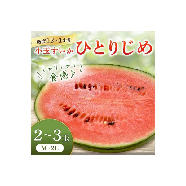■お礼品詳細　・原産地：和歌山県　・賞味期限：発送日+6日■お申し込み・配送・その他　・発送時期：2026-05-18〜2026-07-15（お届け時間帯指定可）　・申込受付期間：〜2026-07-10　・配達外のエリア：　・寄付証明書の送...