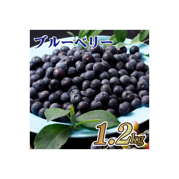 ■お礼品詳細　・配送方法：クール便(冷凍)■お申し込み・配送・その他　・発送時期：2026-01-05より順次発送 ※生産・天候・交通等の事情により遅れる場合があります。（お届け時間帯指定可）　・申込受付期間：通年　・配達外のエリア：離島　...