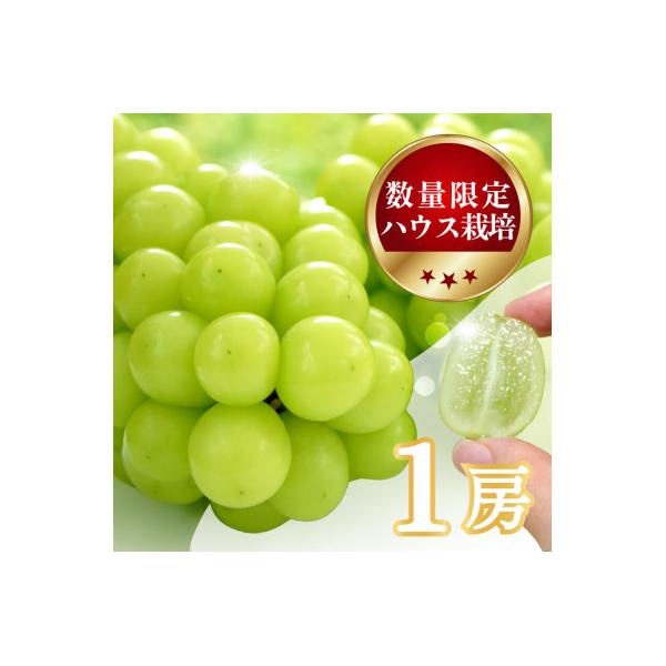 ■お礼品詳細　・配送種別：冷蔵便■お申し込み・配送・その他　・発送時期：2026-06-19〜2026-07-20（お届け時間帯指定可）　・申込受付期間：〜2026-06-30　・配達外のエリア：離島、沖縄県　・寄付証明書の送付時期目安：申...