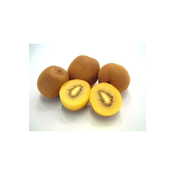 ■お礼品詳細　・賞味期限：10日■お申し込み・配送・その他　・発送時期：2026-10-12〜2027-01-30　・申込受付期間：〜2026-12-20　・配達外のエリア：離島、北海道、沖縄県　・寄付証明書の送付時期目安：申込完了日から２...