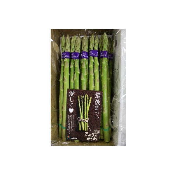 ■お礼品詳細　・配送方法：クール便（冷蔵）■お申し込み・配送・その他　・発送時期：2026-03-12〜2026-06-16（お届け時間帯指定可）　・申込受付期間：2025-10-01〜2026-06-01　・配達外のエリア：離島　・寄付証...