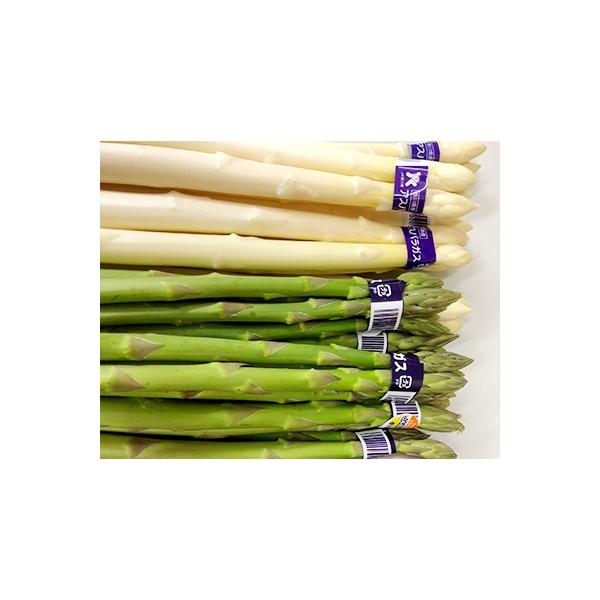 ■お礼品詳細　・配送方法：クール便（冷蔵）■お申し込み・配送・その他　・発送時期：2026-03-16〜2026-10-09（お届け時間帯指定可）　・申込受付期間：2025-10-01〜2026-09-20　・配達外のエリア：離島　・寄付証...