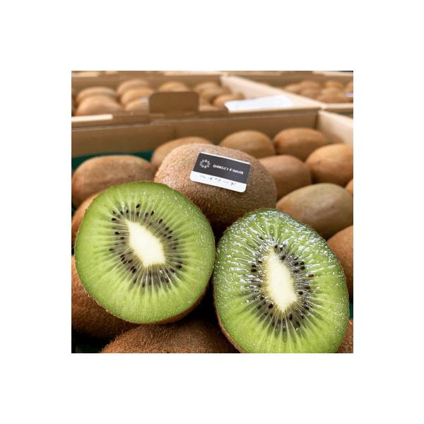 ■お礼品詳細■お申し込み・配送・その他　・発送時期：2025-12-09〜2026-04-24（お届け時間帯指定可）　・申込受付期間：2025-09-01〜2026-04-17　・配達外のエリア：離島　・寄付証明書の送付時期目安：申込完了日...