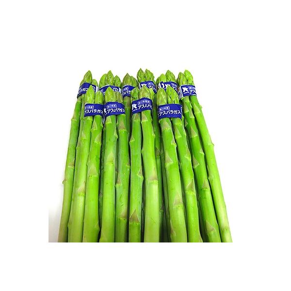 ■お礼品詳細　・配送方法：クール便(冷蔵)■お申し込み・配送・その他　・発送時期：2026-06-22〜2026-10-17　・申込受付期間：〜2026-09-27　・配達外のエリア：離島　・寄付証明書の送付時期目安：申込完了日から２〜３週...