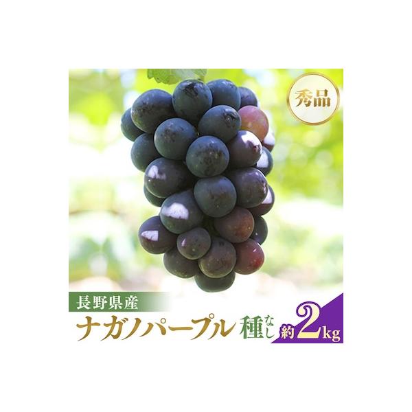 ■お礼品詳細　・配送方法：クール便(冷蔵)■お申し込み・配送・その他　・発送時期：2026-08-31〜2026-10-09（お届け時間帯指定可）　・申込受付期間：2025-12-01〜2026-03-31　・配達外のエリア：離島　・寄付証...