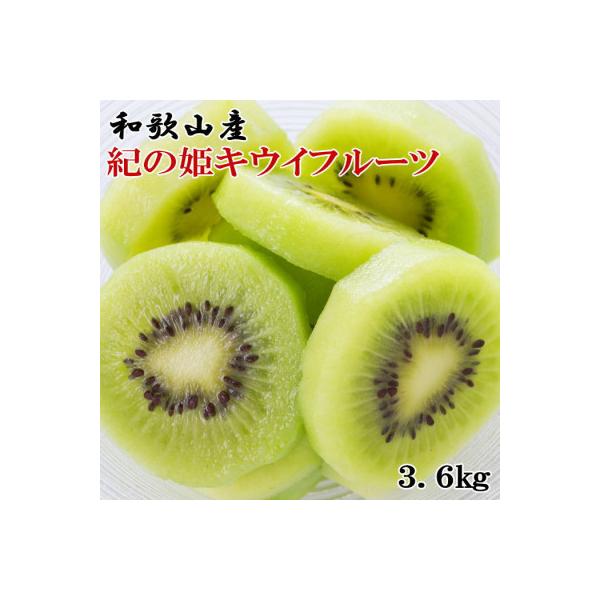 ■お礼品詳細■お申し込み・配送・その他　・発送時期：2026-01-15〜2026-03-31（お届け時間帯指定可）　・申込受付期間：〜2026-03-15　・配達外のエリア：　・寄付証明書の送付時期目安：申込完了日から２ヵ月程度　・提供元...