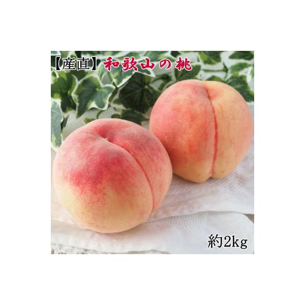 ■お礼品詳細　・配送種別：冷蔵便■お申し込み・配送・その他　・発送時期：2026-06-29〜2026-08-14（お届け時間帯指定可）　・申込受付期間：〜2026-07-31　・配達外のエリア：離島、北海道、沖縄県　・寄付証明書の送付時期...