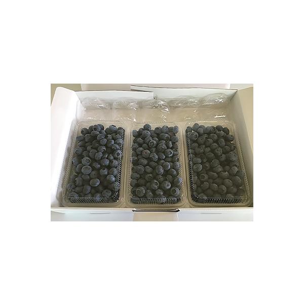 ■お礼品詳細　・配送方法：クール便(冷蔵)■お申し込み・配送・その他　・発送時期：2026-07-01〜2026-08-15（お届け時間帯指定可）　・申込受付期間：〜2026-07-31　・配達外のエリア：離島　・寄付証明書の送付時期目安：...