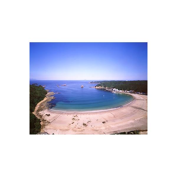 ■お礼品詳細■お申し込み・配送・その他　・発送時期：お申し込み後、順次発送（お届け時間帯指定可）　・申込受付期間：通年　・配達外のエリア：　・寄付証明書の送付時期目安：申込完了日から3週間程度　・提供元：下田ビューホテル