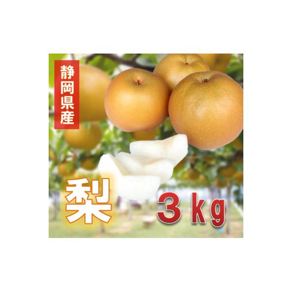 ■お礼品詳細　・配送種別：冷蔵便■お申し込み・配送・その他　・発送時期：2026-08-17〜2026-09-11（お届け時間帯指定可）　・申込受付期間：2025-09-24〜2026-09-05　・配達外のエリア：離島、北海道、沖縄県　・...