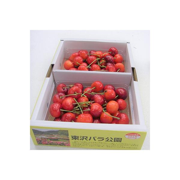 ■お礼品詳細　・配送方法：クール便(冷蔵)■お申し込み・配送・その他　・発送時期：2026-06-01〜2026-06-30　※生育状況により前後する場合があります（お届け時間帯指定可）　・申込受付期間：〜2026-05-18　・配達外のエ...