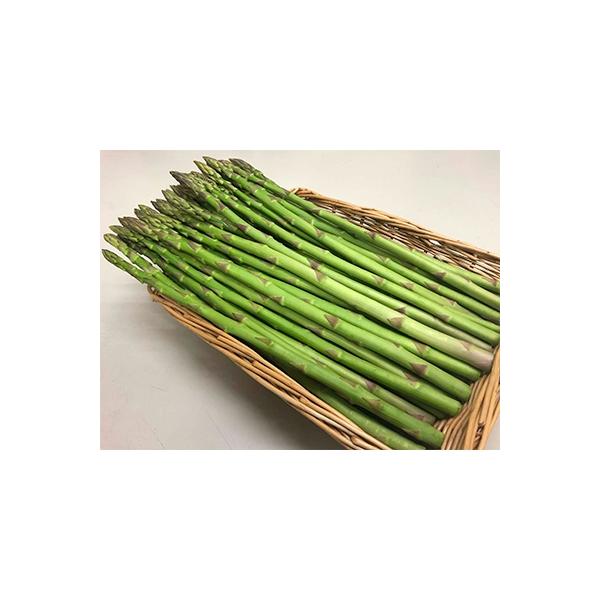 ■お礼品詳細　・配送方法：クール便(冷蔵)■お申し込み・配送・その他　・発送時期：2026-06-11〜2026-10-15（お届け時間帯指定可）　・申込受付期間：〜2026-09-29　・配達外のエリア：離島、北海道、沖縄県　・寄付証明書...