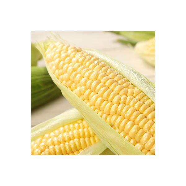 ■お礼品詳細　・配送方法：クール便(冷蔵)■お申し込み・配送・その他　・発送時期：2026-06-11〜2026-07-18（お届け時間帯指定可）　・申込受付期間：〜2026-06-21　・配達外のエリア：離島、北海道、沖縄県　・寄付証明書...