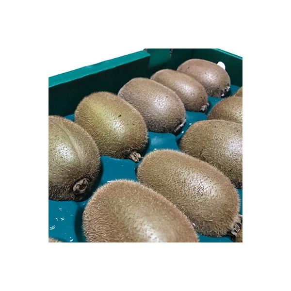 ■お礼品詳細■お申し込み・配送・その他　・発送時期：2026-01-05〜2026-03-05（お届け時間帯指定可）　・申込受付期間：〜2026-02-23　・配達外のエリア：　・寄付証明書の送付時期目安：申込完了日から２週間程度　・提供元...