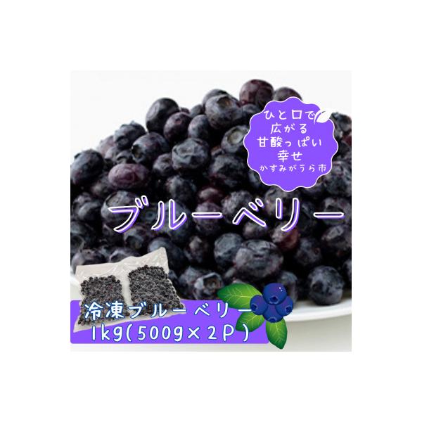 ■お礼品詳細　・配送方法：クール便(冷凍)■お申し込み・配送・その他　・発送時期：2026-01-05より順次発送 ※生産・天候・交通等の事情により遅れる場合があります。（お届け時間帯指定可）　・申込受付期間：通年　・配達外のエリア：離島　...