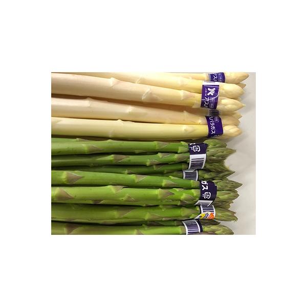 ■お礼品詳細　・配送方法：クール便(冷蔵)■お申し込み・配送・その他　・発送時期：2026-03-02〜2026-10-10　・申込受付期間：〜2026-09-20　・配達外のエリア：離島、北海道、沖縄県　・寄付証明書の送付時期目安：申込完...