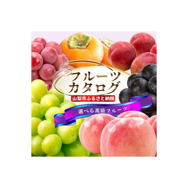 ■お礼品詳細　・配送種別：通常便（ポスト投函）■お申し込み・配送・その他　・発送時期：お申込みより1〜2週間程度で順次発送予定　※年末年始は発送までにお時間をいただく場合がございます　・申込受付期間：通年　・配達外のエリア：　・寄付証明書の...