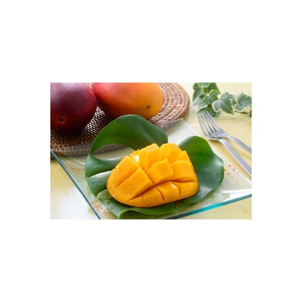 ■お礼品詳細■お申し込み・配送・その他　・発送時期：2026-06-10〜2026-07-05（お届け時間帯指定可）　・申込受付期間：2025-09-01〜2026-06-30　・配達外のエリア：離島　・寄付証明書の送付時期目安：申込完了日...