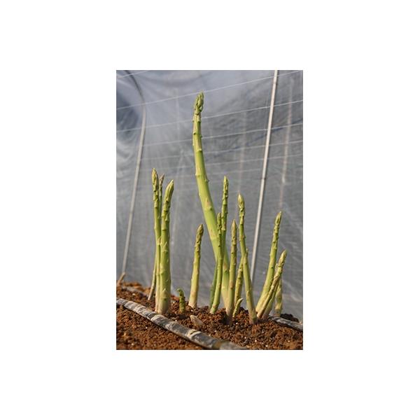 ■お礼品詳細　・配送方法：クール便(冷蔵)■お申し込み・配送・その他　・発送時期：2026-02-28〜2026-04-30（お届け時間帯指定可）　・申込受付期間：2025-04-16〜2026-04-12　・配達外のエリア：離島、北海道、...