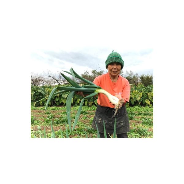 ■お礼品詳細■お申し込み・配送・その他　・発送時期：〜2026-02-28（お届け時間帯指定可）　・申込受付期間：〜2026-2-11　・配達外のエリア：　・寄付証明書の送付時期目安：申込完了日から２週間程度 ※ワンストップ特例申請書は寄付...