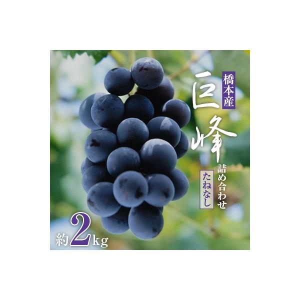 ■お礼品詳細　・配送方法：クール便(冷蔵)■お申し込み・配送・その他　・発送時期：2026-08-06〜2026-08-31（お届け時間帯指定可）　・申込受付期間：2025-09-05〜2026-07-31　・配達外のエリア：離島　・寄付証...