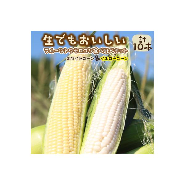 ■お礼品詳細　・配送方法：クール便(冷蔵)■お申し込み・配送・その他　・発送時期：2026-06-20〜2026-07-31（お届け時間帯指定可）　・申込受付期間：〜2026-06-30　・配達外のエリア：離島、北海道、沖縄県　・寄付証明書...