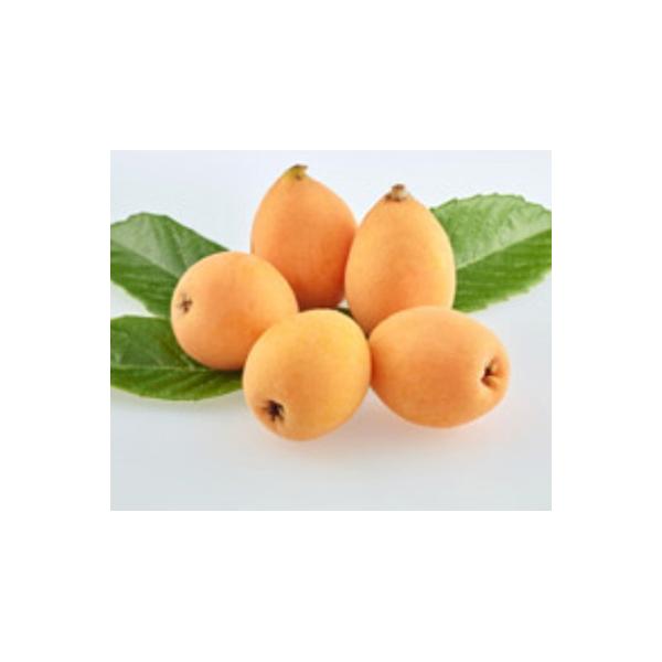 ■お礼品詳細　・配送方法：クール便(冷蔵)■お申し込み・配送・その他　・発送時期：2026-05-18〜2026-06-30　・申込受付期間：〜2026-06-07　・配達外のエリア：離島、北海道、沖縄県　・寄付証明書の送付時期目安：申込完...