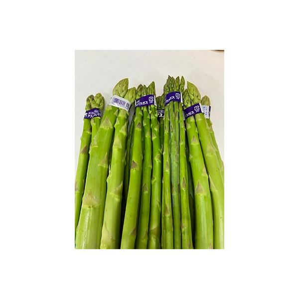 ■お礼品詳細　・配送方法：クール便(冷蔵)■お申し込み・配送・その他　・発送時期：2026-06-13〜2026-10-17（お届け時間帯指定可）　・申込受付期間：〜2026-10-01　・配達外のエリア：離島、北海道、沖縄県　・寄付証明書...