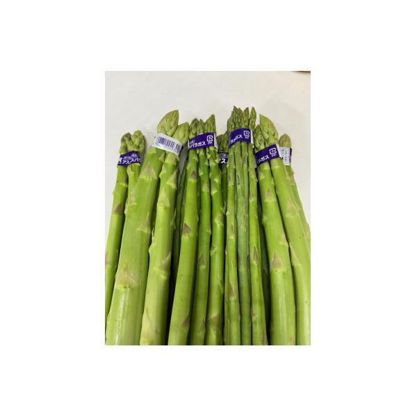 ■お礼品詳細　・配送方法：クール便(冷蔵)■お申し込み・配送・その他　・発送時期：2026-06-13〜2026-10-17（お届け時間帯指定可）　・申込受付期間：〜2026-10-01　・配達外のエリア：離島、北海道、沖縄県　・寄付証明書...