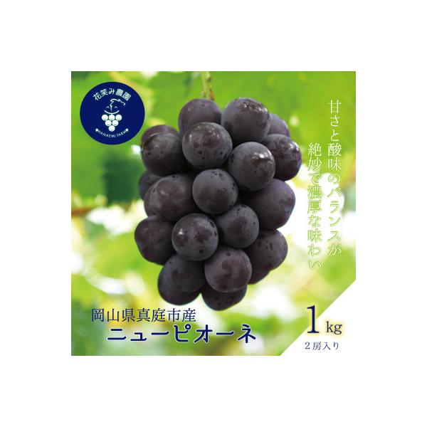 ■お礼品詳細　・配送種別：冷蔵便■お申し込み・配送・その他　・発送時期：2026-09-04〜2026-10-26（お届け時間帯指定可）　・申込受付期間：2025-12-08〜2026-10-21　・配達外のエリア：離島　・寄付証明書の送付...