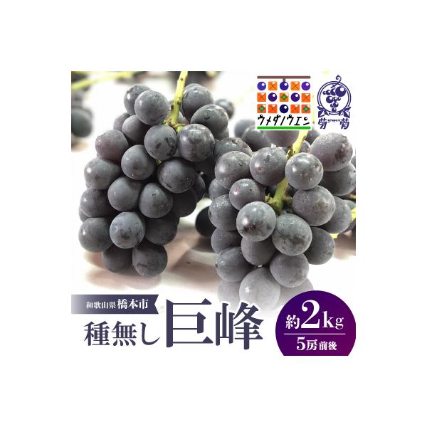 ■お礼品詳細　・配送方法：クール便(冷蔵)■お申し込み・配送・その他　・発送時期：2026-08-06〜2026-08-26（お届け時間帯指定可）　・申込受付期間：〜2026-07-31　・配達外のエリア：離島　・寄付証明書の送付時期目安：...