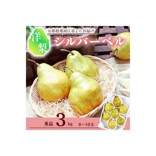 ■お礼品詳細　・内容量：山形県産 シルバーベル 3kg (6〜10玉） L〜4L　・配送方法：通常便　・賞味期限：出荷日+7日程度■お申し込み・配送・その他　・発送時期：2025-12-01〜2026-01-20（お届け時間帯指定可）　・申...