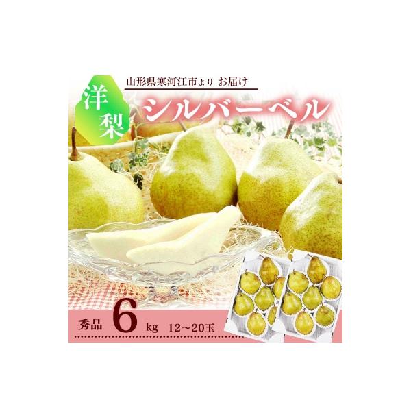 ■お礼品詳細　・内容量：山形県産 シルバーベル　計6kg（12〜20玉） L〜4L　※3kg（6〜10玉）×2箱でのお届け　・配送方法：通常便　・賞味期限：出荷日+7日程度■お申し込み・配送・その他　・発送時期：2025-12-01〜202...