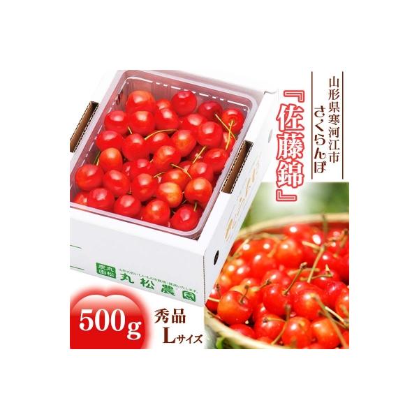 ■お礼品詳細　・内容量：さくらんぼ「佐藤錦」 秀 Lサイズ　500g　・生産地：山形県寒河江市　・生産年：2024年産　・配送方法：クール便（冷蔵）　・賞味期限：出荷日＋3日■お申し込み・配送・その他　・発送時期：2026-06-05〜20...
